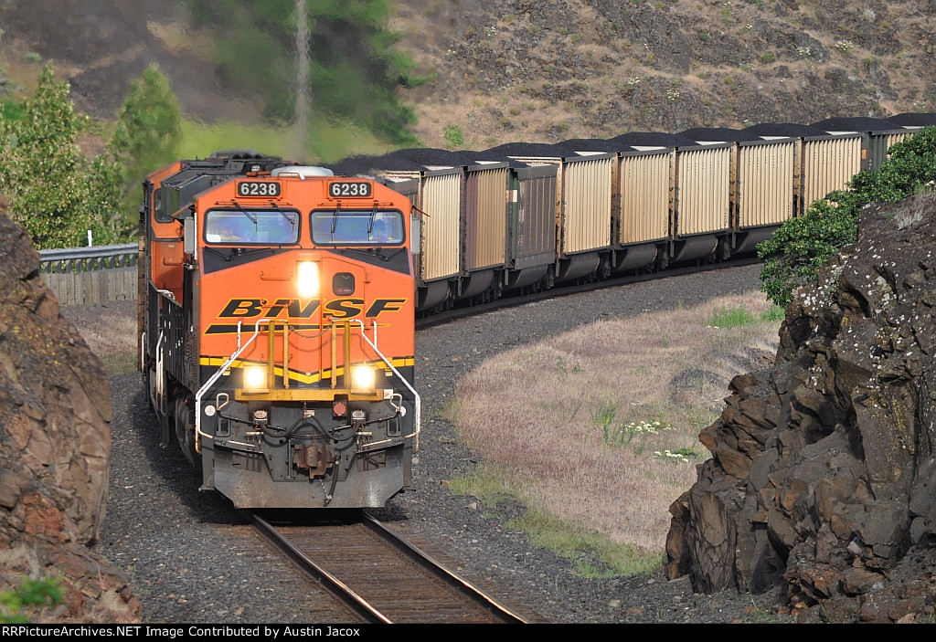 BNSF 6238